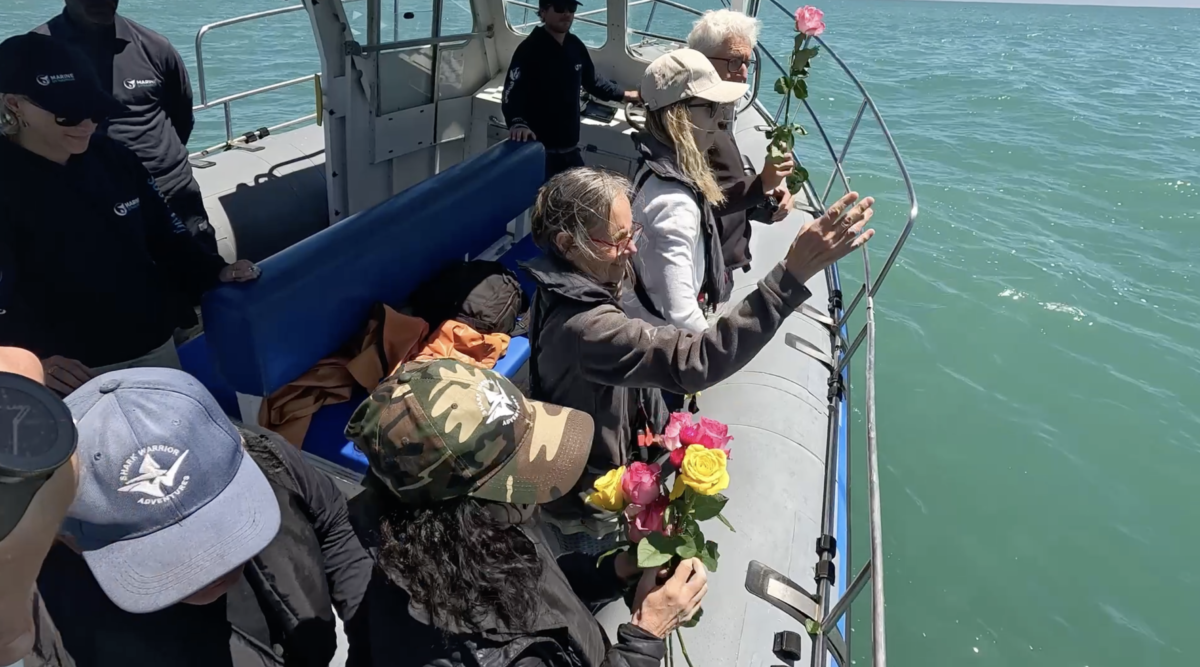 Saying Goodbye to the Legendary Dr. Leonard J.V. Compagno – Dyer Island ...