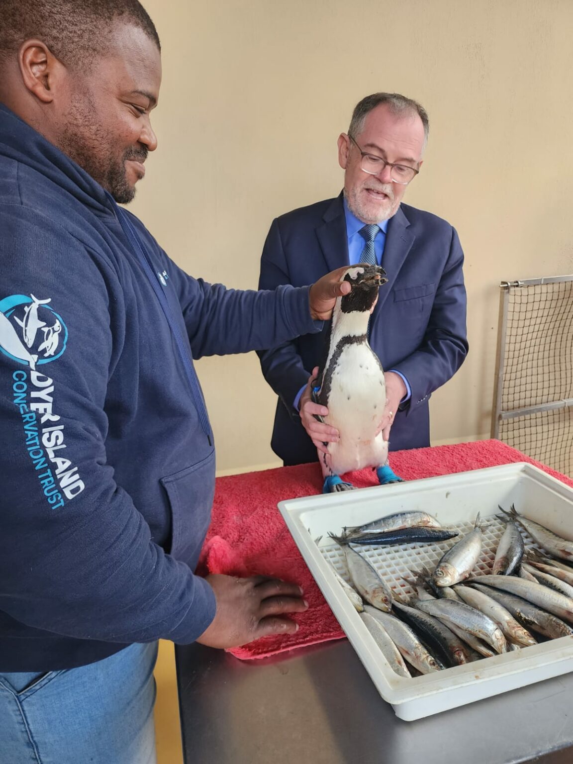 Safeguarding our oceans with Minister Dion George – Dyer Island ...