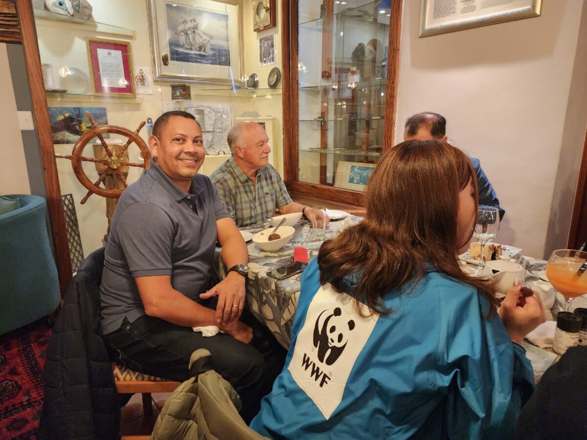 A Milestone for Marine Conservation: Dyer Island Conservation Trust at ...