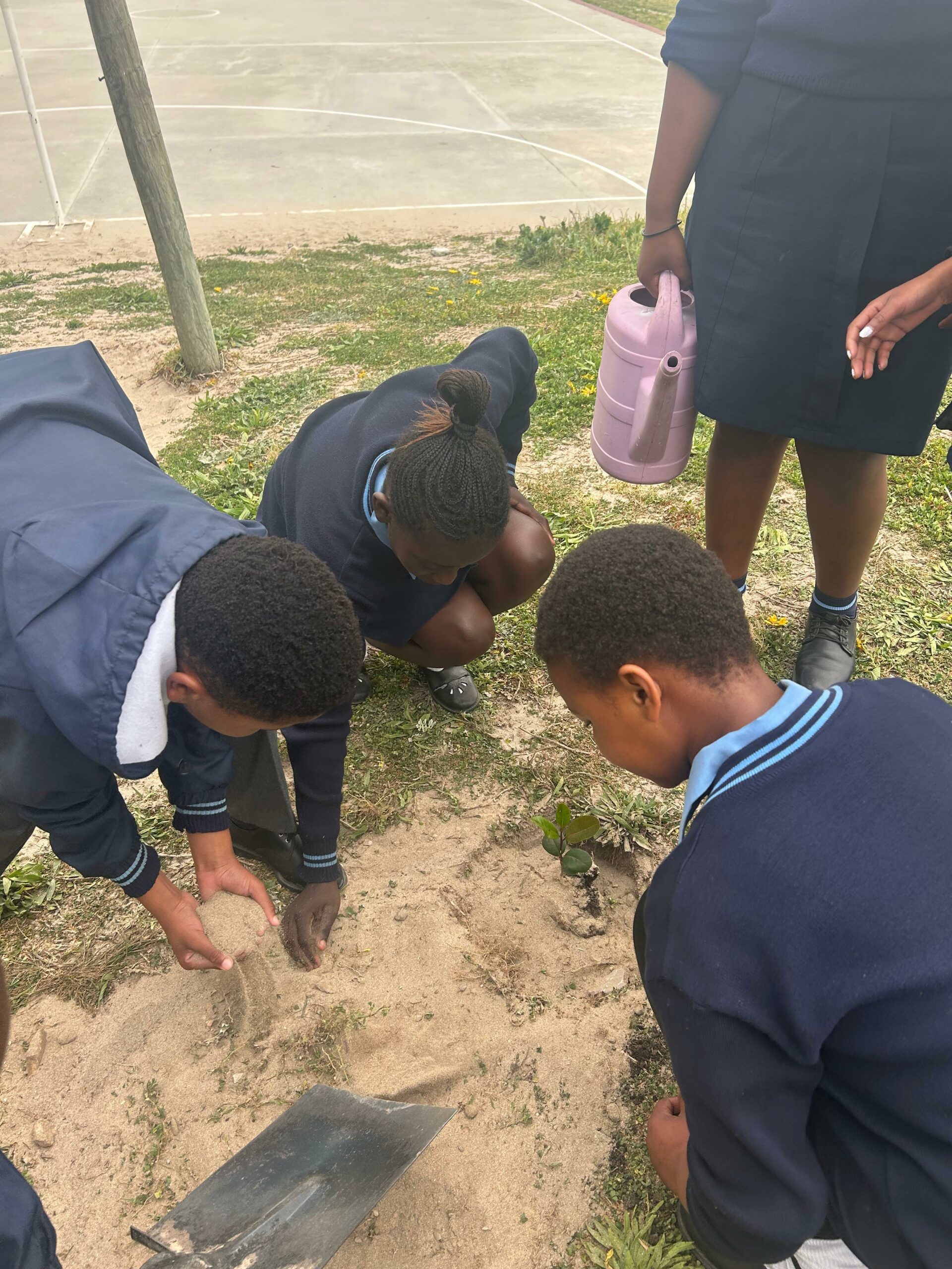 Arbour Week 2025 – Planting 25 Trees for 2025 – Dyer Island ...